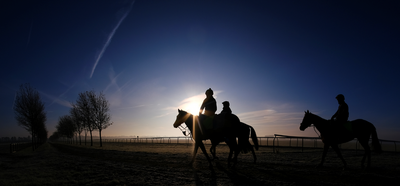 Newmarket Training Grounds | ROA